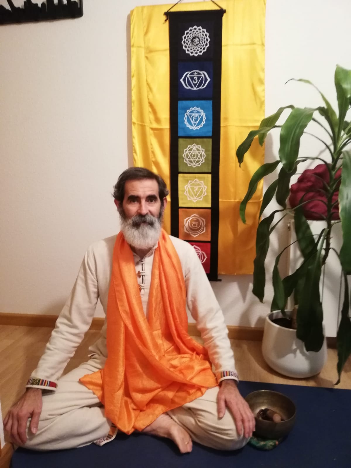 Curso Online de Chakras – Terium